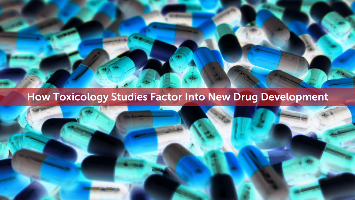 How Toxicology Studies Factor into New Drug Development