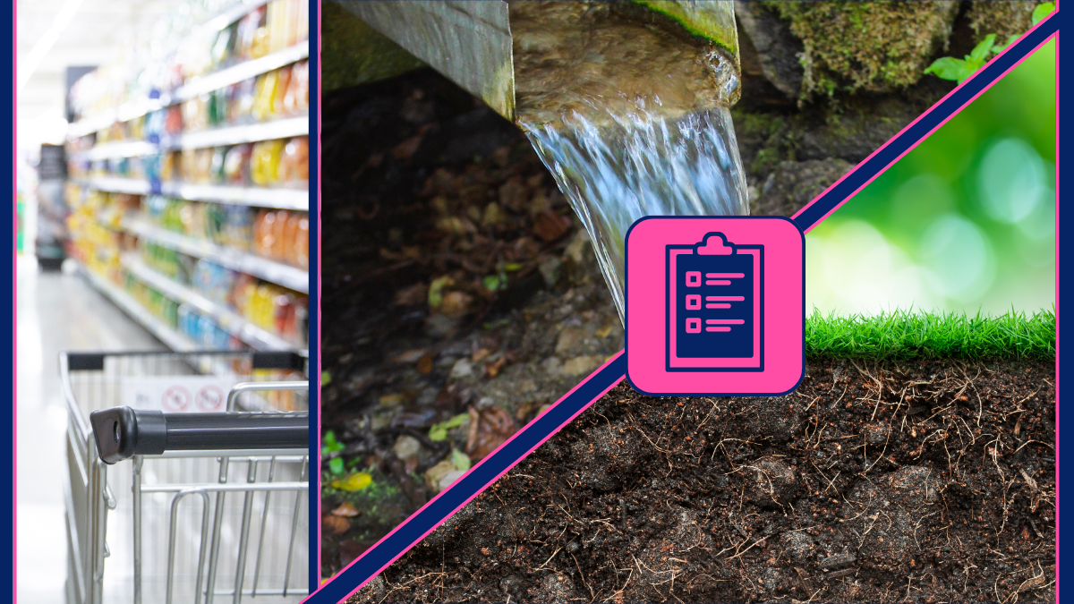 How Is Pfas Analysis Carried Out